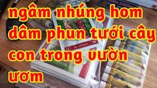 ngâm Nhúng hom giâm thuốc kích rễ cây trong vườn ươm cây con dùng phun ...